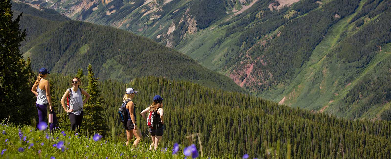 Aspen Mountain in Summer | Colorado Resort Summer Activities | Aspen ...