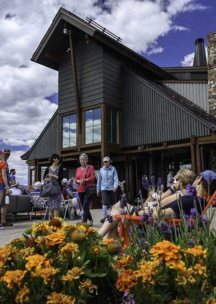 Aspen Mountain in Summer | Colorado Resort Summer Activities | Aspen ...