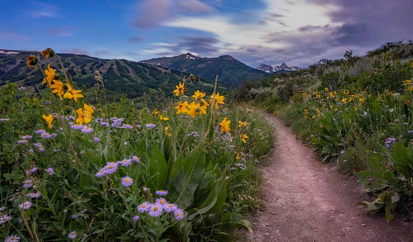 Aspen Snowmass | Colorado Ski, Snowboard & Mountain Resort